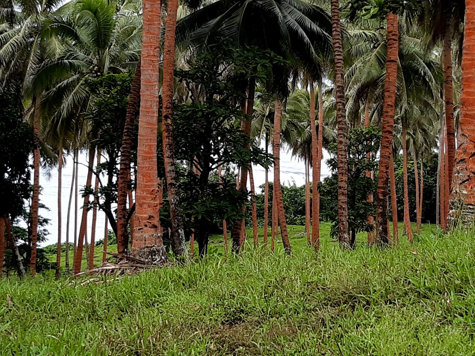 Gaua Island - co musíš vidět