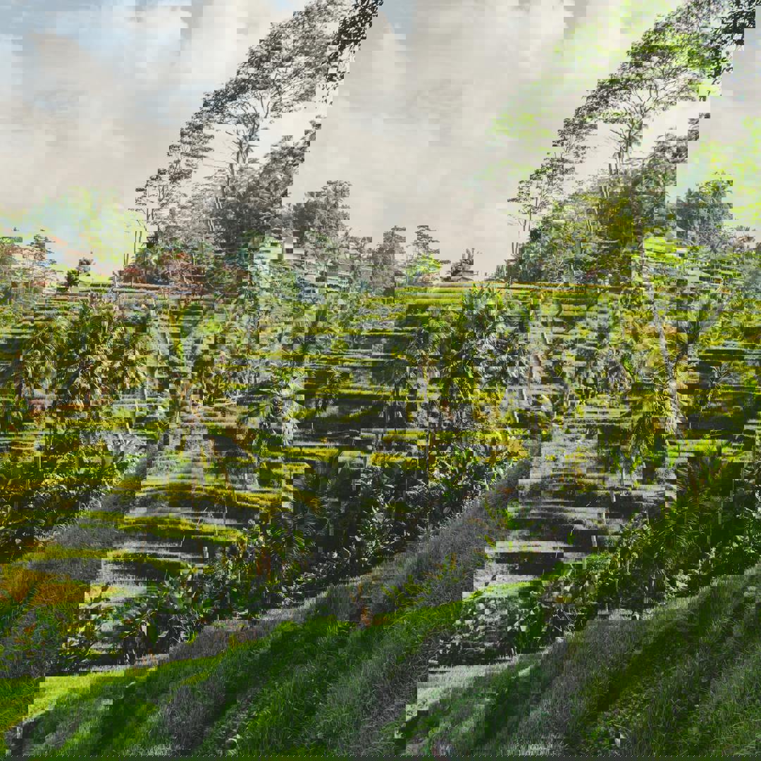 Agung Rai Museum of Art