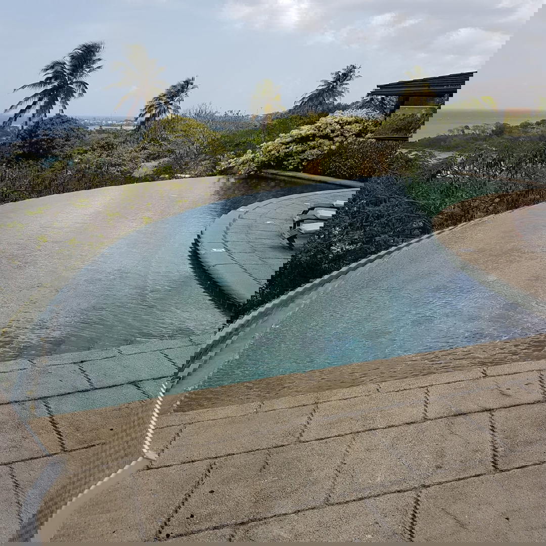 Corbin Local Wildlife