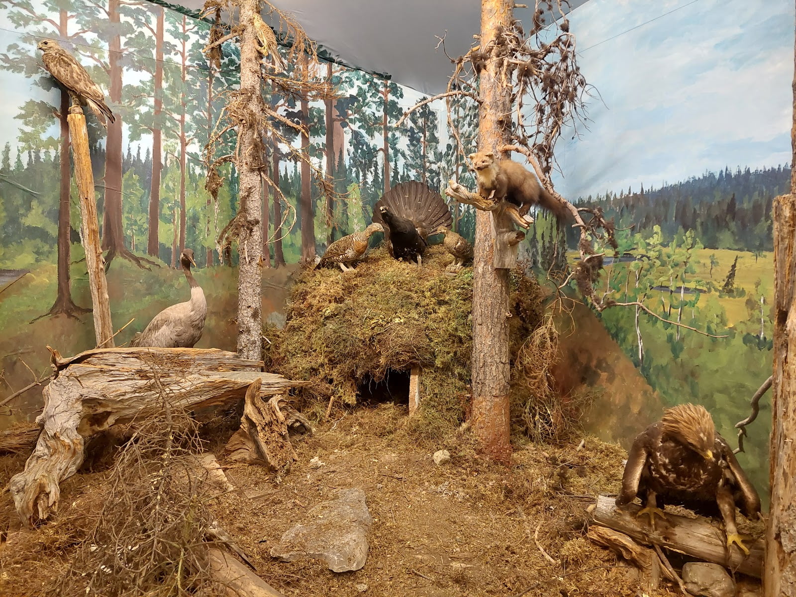 Gällivare Kulturmuseum