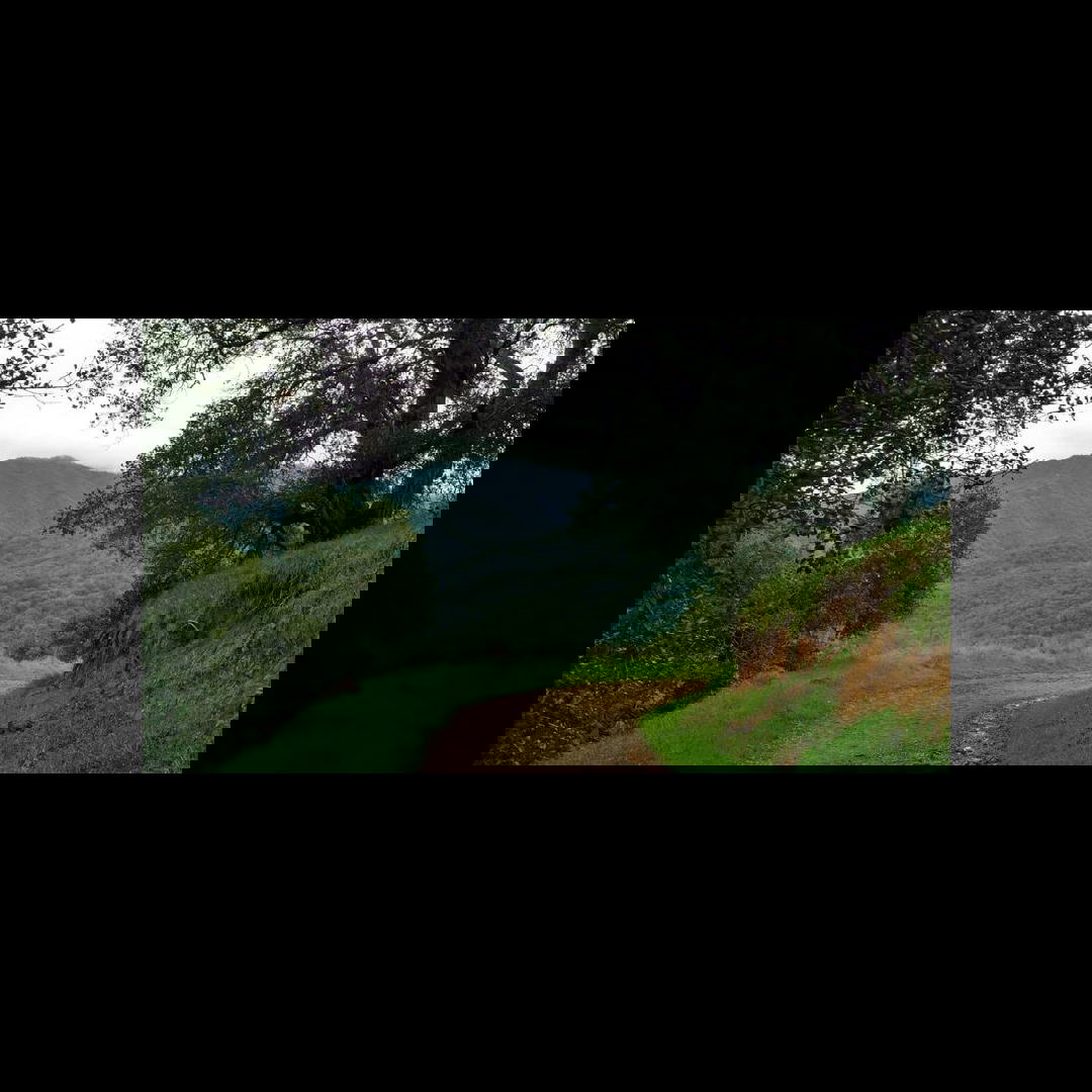 Almaden Quicksilver County Park