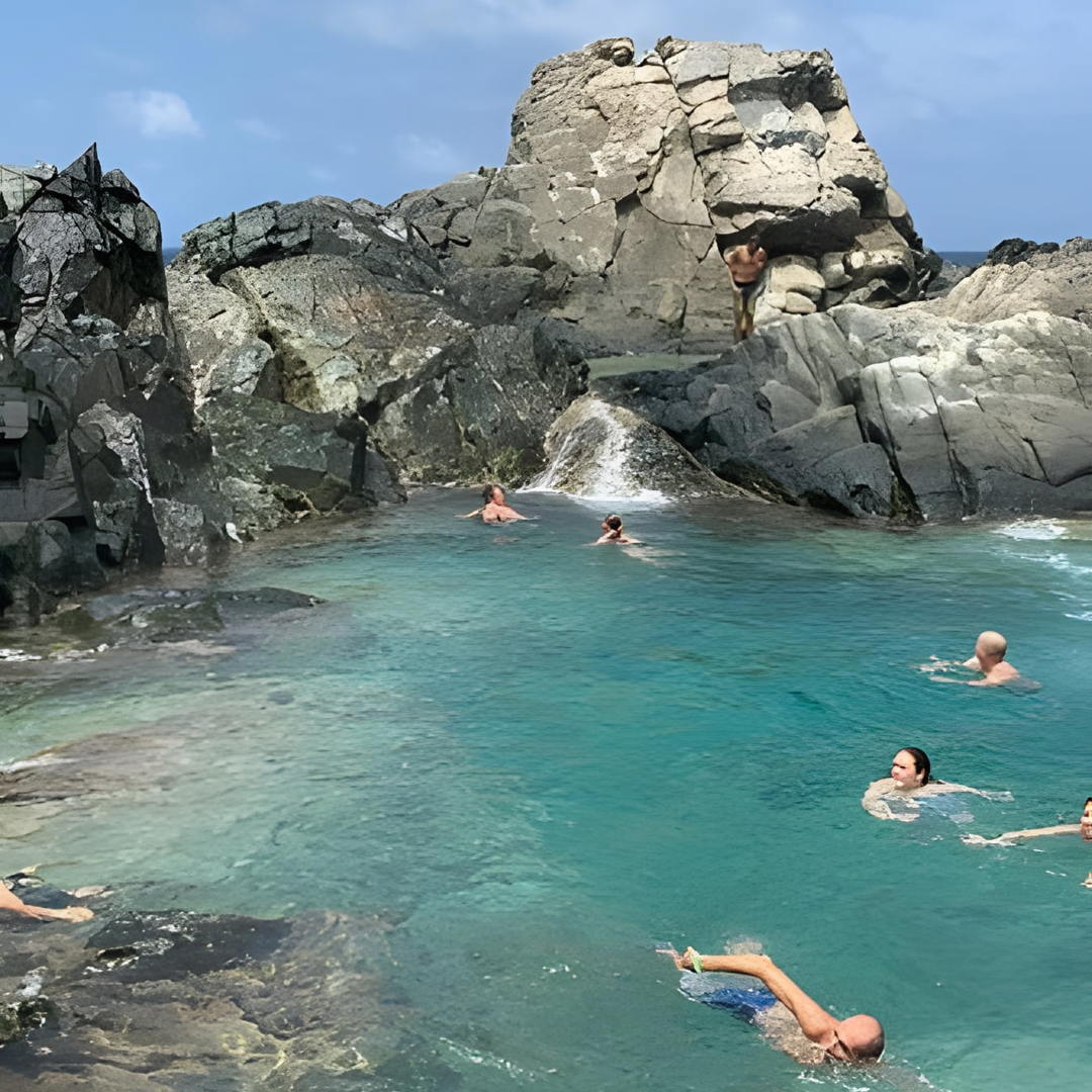 Natural Pool