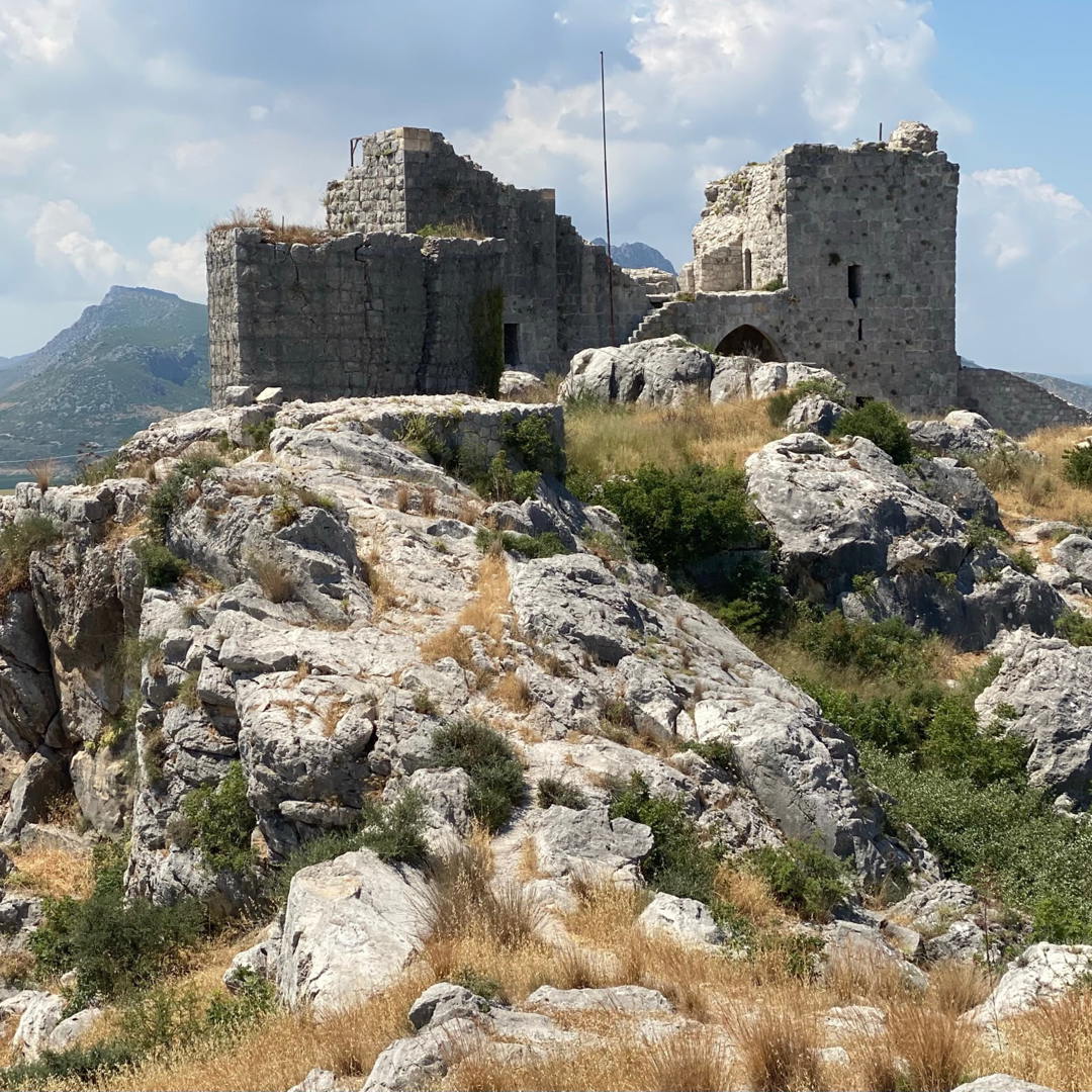 Snake Castle