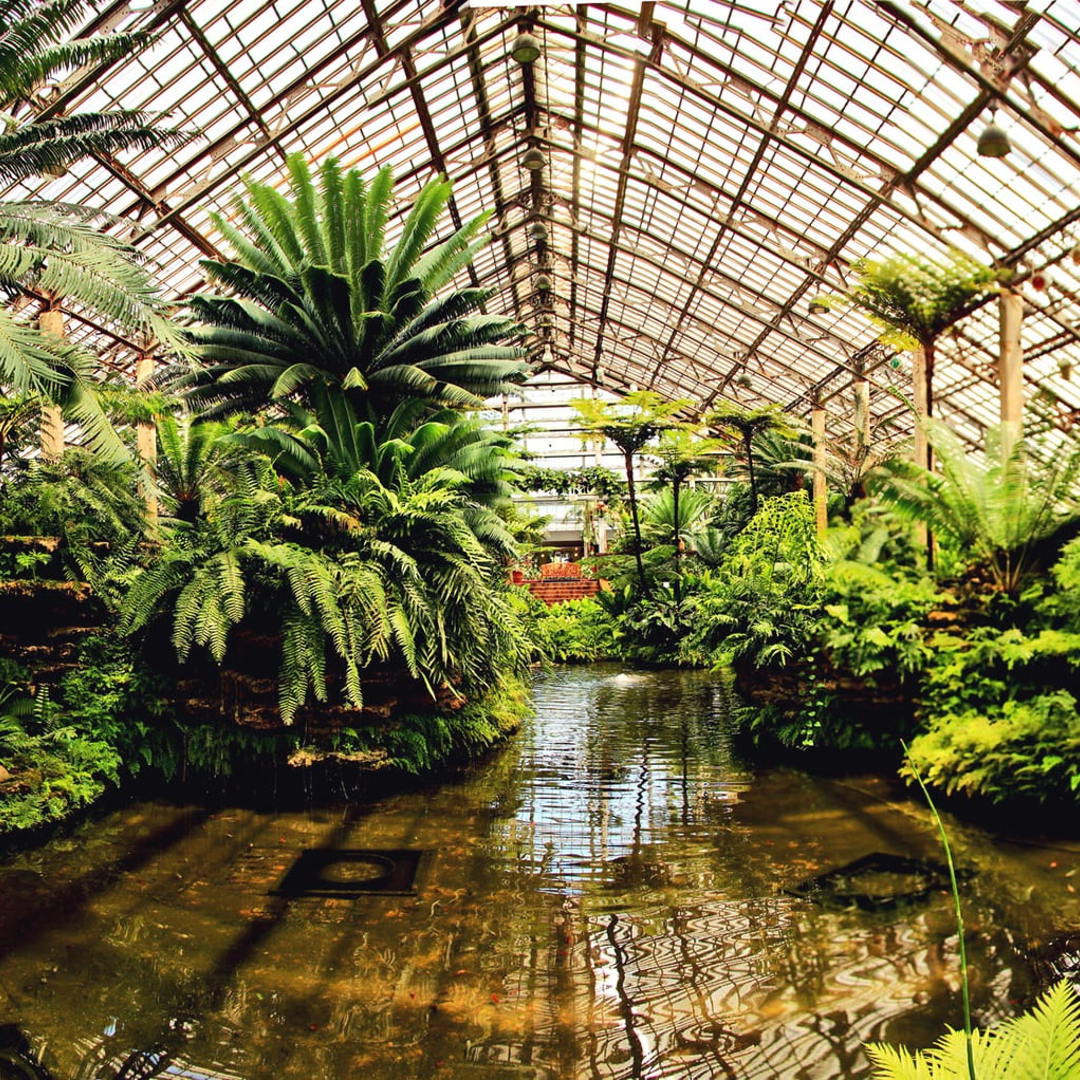Garfield Park Conservatory