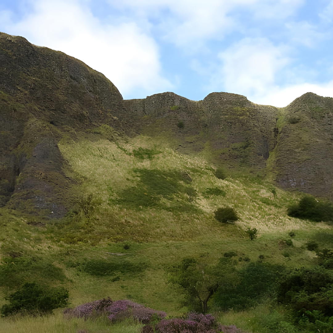 Cave Hill Country Park
