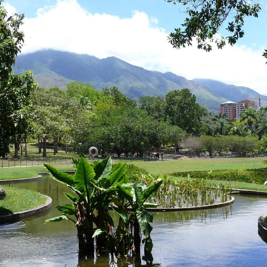 Parque del Este