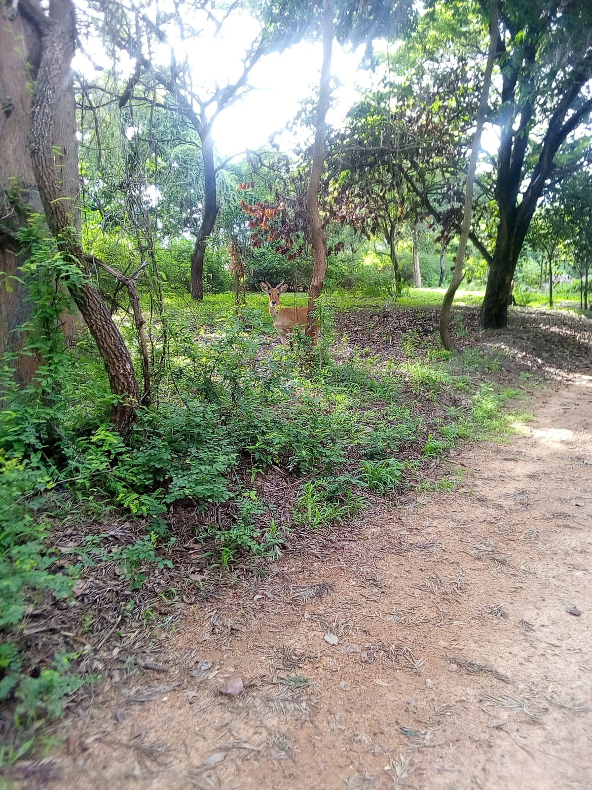 Tabora Game Park